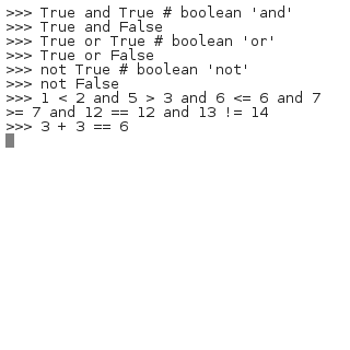 Your Interactive Python Console